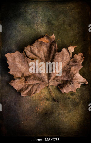 A vertical shot of beautiful dry fallen leaves Stock Photo - Alamy