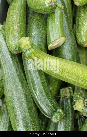 Courgettes for sale in the Paphos saturday farmers market, Paphos ...
