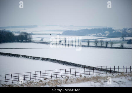18th March 2018, Poundbury, Dorchester, Dorset, England. UK Weather ...