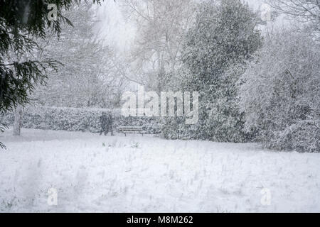 Exeter, Devon, UK. 18 March 2018. UK Weather. Riverside Valley Park in ...