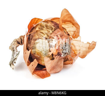 rotten onion isolated on white background Stock Photo - Alamy