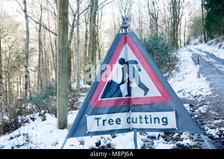 Tree cutting men at work warning signs, in the woods for walkers Stock ...