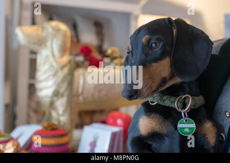 14 March 2018, Germany, Passau: Waldi, the dachshund mascot of the 1972 ...