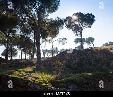 Amazing landscape of Rocks formation near Meteora, Thessaly, Greece ...