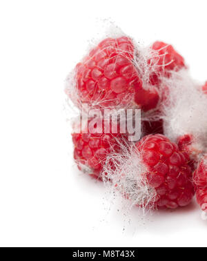 Rotten raspberries isolated on white background Stock Photo - Alamy