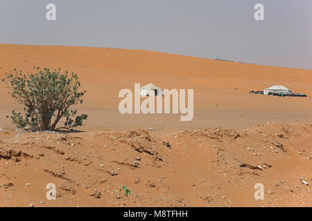 Camps with quad bike rentals on the dunes of Thumamah National Park ...