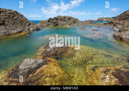 Mermaid Pools, Tutukaka, New Zealand Stock Photo - Alamy