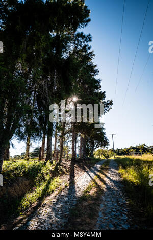 Downhill rocky pathway leading to wooden gate, forest in background ...