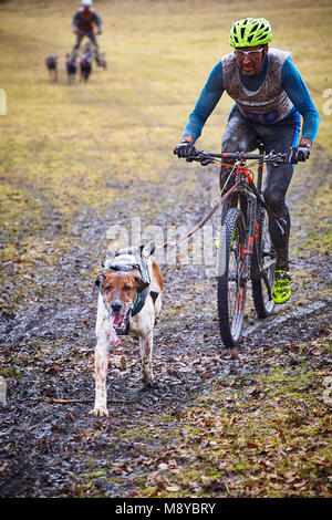 Mošovce, Slovakia. 10th March, 2018. 3rd round of Farmina Husky Cup ...