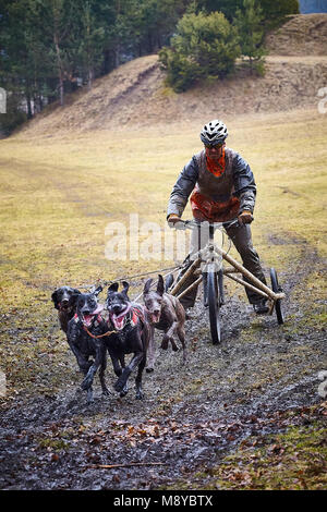 Mošovce, Slovakia. 10th March, 2018. 3rd round of Farmina Husky Cup ...