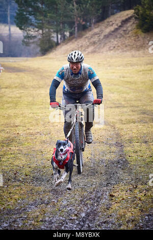 Mošovce, Slovakia. 10th March, 2018. 3rd round of Farmina Husky Cup ...