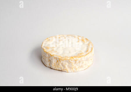 Tunworth a camembert-style cheese from the British Isles Stock Photo ...