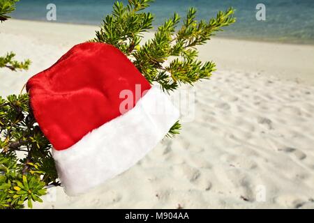 Christmas hat hang on a branch of palm tree Stock Photo - Alamy