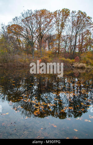 Fall scenes in a park Stock Photo - Alamy