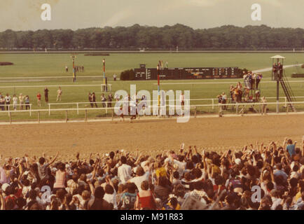 Secretariat at Belmont Stakes, 1973 Stock Photo - Alamy