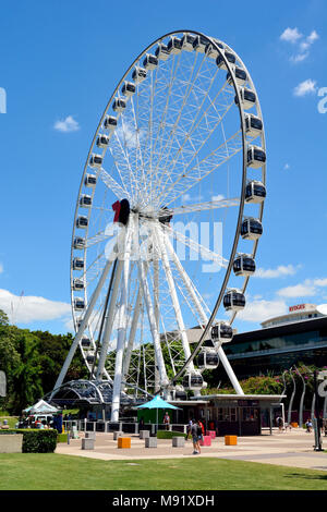 The giant Brisbane wheel is a landmark of the South Bank parklands ...