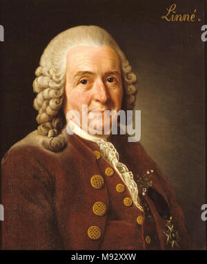 Carl Linnaeus (1707-1778), Swedish botanist and taxonomist. This bust ...