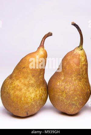 Kaiser golden pear, juicy snack Stock Photo - Alamy