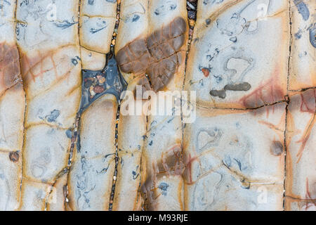 Sedimentary rocks (Carmelo formation), Weston Beach. This younger ...