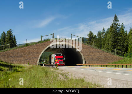 Animal's Bridge crossing US 93 in Montana is designed to allow wildlife ...