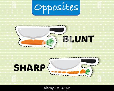 Opposite words for blunt and sharp illustration Stock Vector Image ...