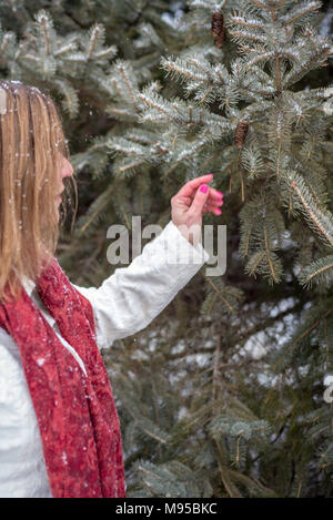 Hand reaching for white snow on a cold winter day Stock Photo - Alamy