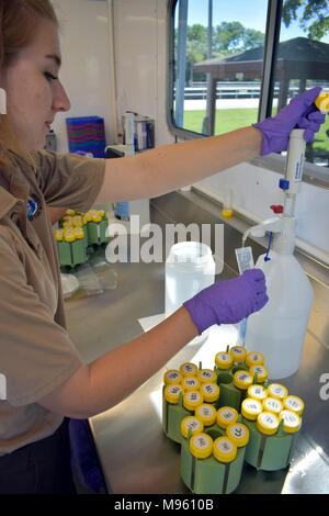 Processing Water Samples Stock Photo - Alamy