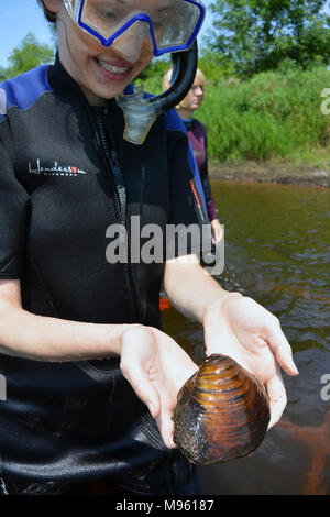 The Sheepnose Mussel is an endangered freshwater species protected ...