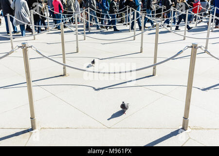 Stainless steel poles linked by grey ropes for queue control at the ...