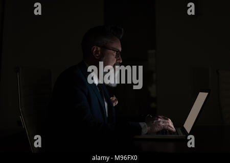 Business executive using laptop Stock Photo - Alamy