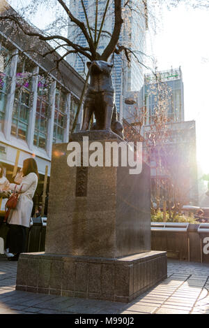 Bronze Hachiko Memorial Statue at Hachiko Square, Shibuya train Station ...