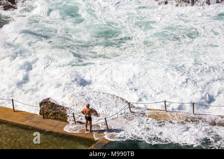 Male swimmer beside Avalon beach rock ocean swimming pool on Avalon ...