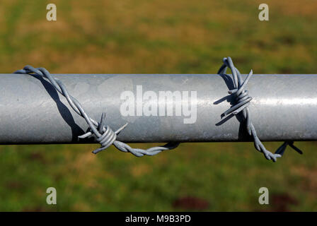 Barbed wire wrapped around farm gate Stock Photo - Alamy
