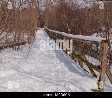 Wooden walkway through the snowy forest on a winter day, snow-white ...