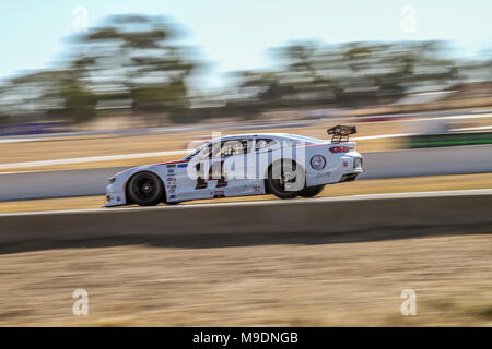 Ta2 TransAm Racing from AMRS series Winton Raceway Victoria Ausralia ...