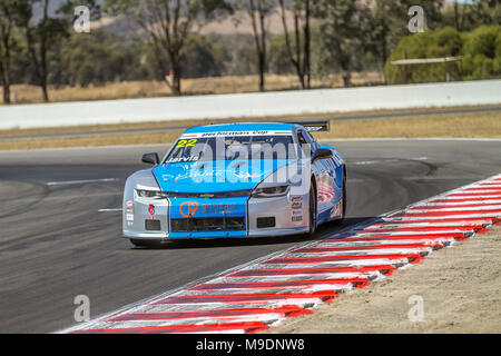 Ta2 TransAm Racing from AMRS series Winton Raceway Victoria Ausralia ...