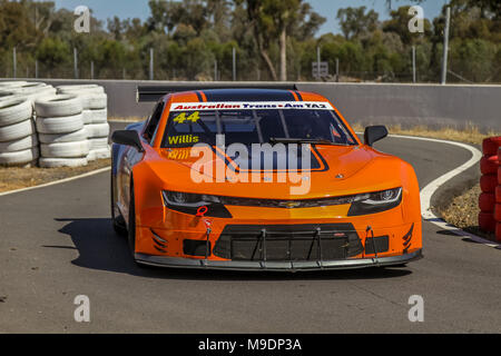 Ta2 TransAm Racing from AMRS series Winton Raceway Victoria Ausralia ...