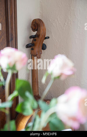 Color closeup shot of a cello in a room Stock Photo - Alamy