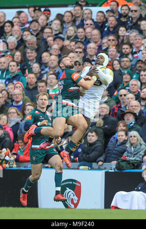 Leicester Tigers' Adam Thompstone Stock Photo - Alamy