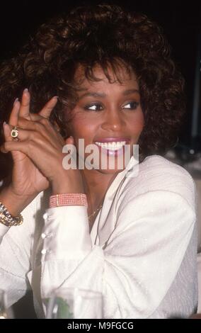 Whitney Houston 1989 Photo By John Barrett/PHOTOlink Stock Photo - Alamy