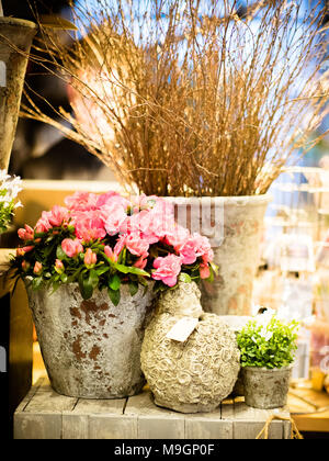 The small pink potted rose on a beautiful table, in the flower shop ...
