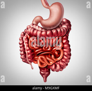 Painful digestion IBS or irritable bowel syndrome and intestine pain ...