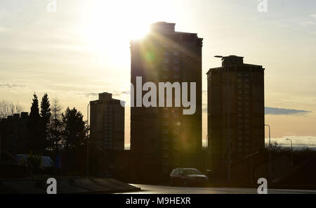 Tower blocks of Motherwell, North Lanarkshire, Scotland Stock Photo - Alamy
