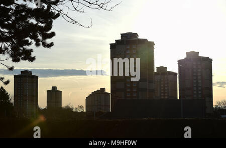 Tower blocks of Motherwell, North Lanarkshire, Scotland Stock Photo - Alamy