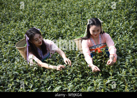Hangzhou, China. 27th Mar, 2018. Girls in traditional Chinese clothes ...
