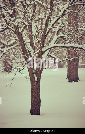 winter snowfall, Buchanan Park, Lancaster, Pennsylvania, USA Stock ...