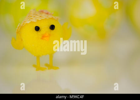 Yellow Easter chick on a reflective white with painted eggs out of ...