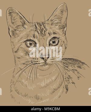 Vector outline monochrome portrait of curious Russian Blue Cat in black ...