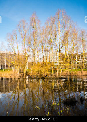Foundry Brook, Green Park Business Park, Reading, Berkshire, England ...