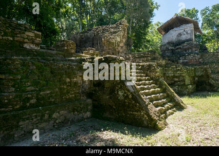 Ancient Mayan ruins and temples of Topoxte Island, Guatemala Stock ...